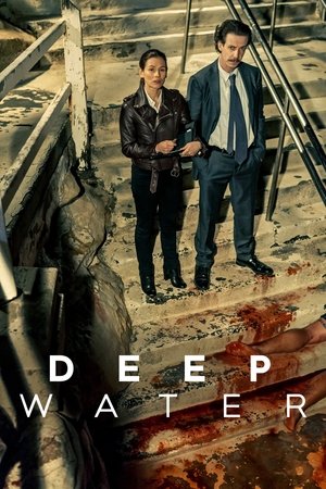 Deep Water ( S01E01) subtitles | AIO Subtitle PRO